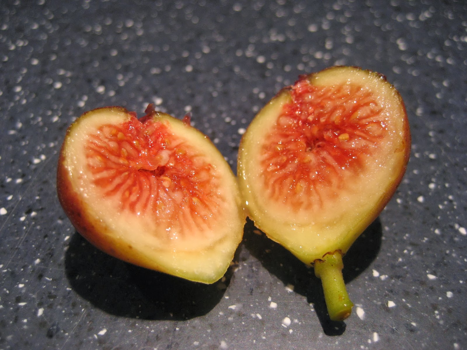 On Becoming a Fig - My Brother From Another Mother
